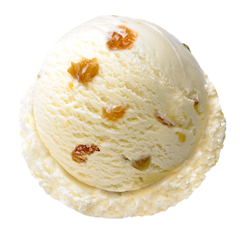 Rum Raisin | Swensen's